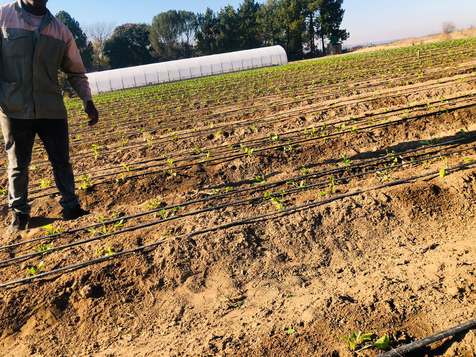 Student – Taletso Tvet College